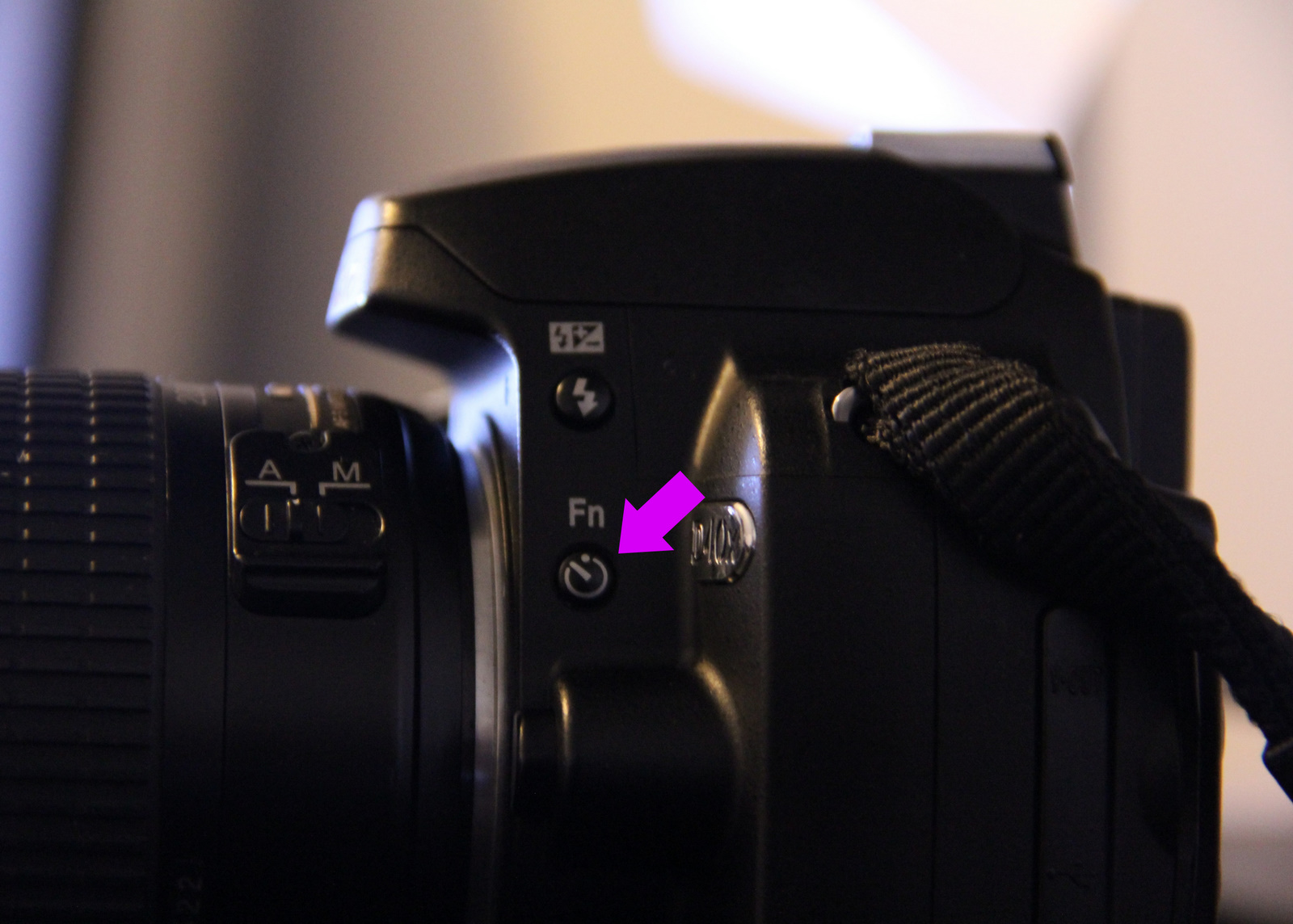 Nikon Newbie: Nikon D40x Features