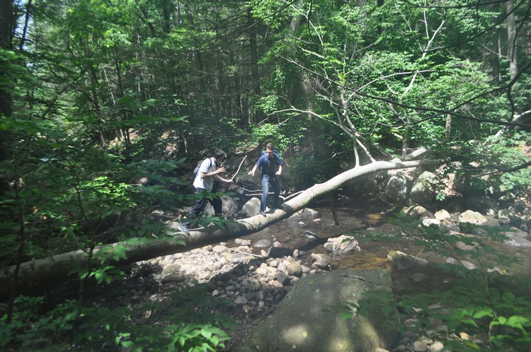Harriman Hiker: Harriman State Park and Beyond: Chipmunk Mountain Loop ... Harriman Hiker: Harriman State Park and Beyond: Chipmunk Mountain Loop ...