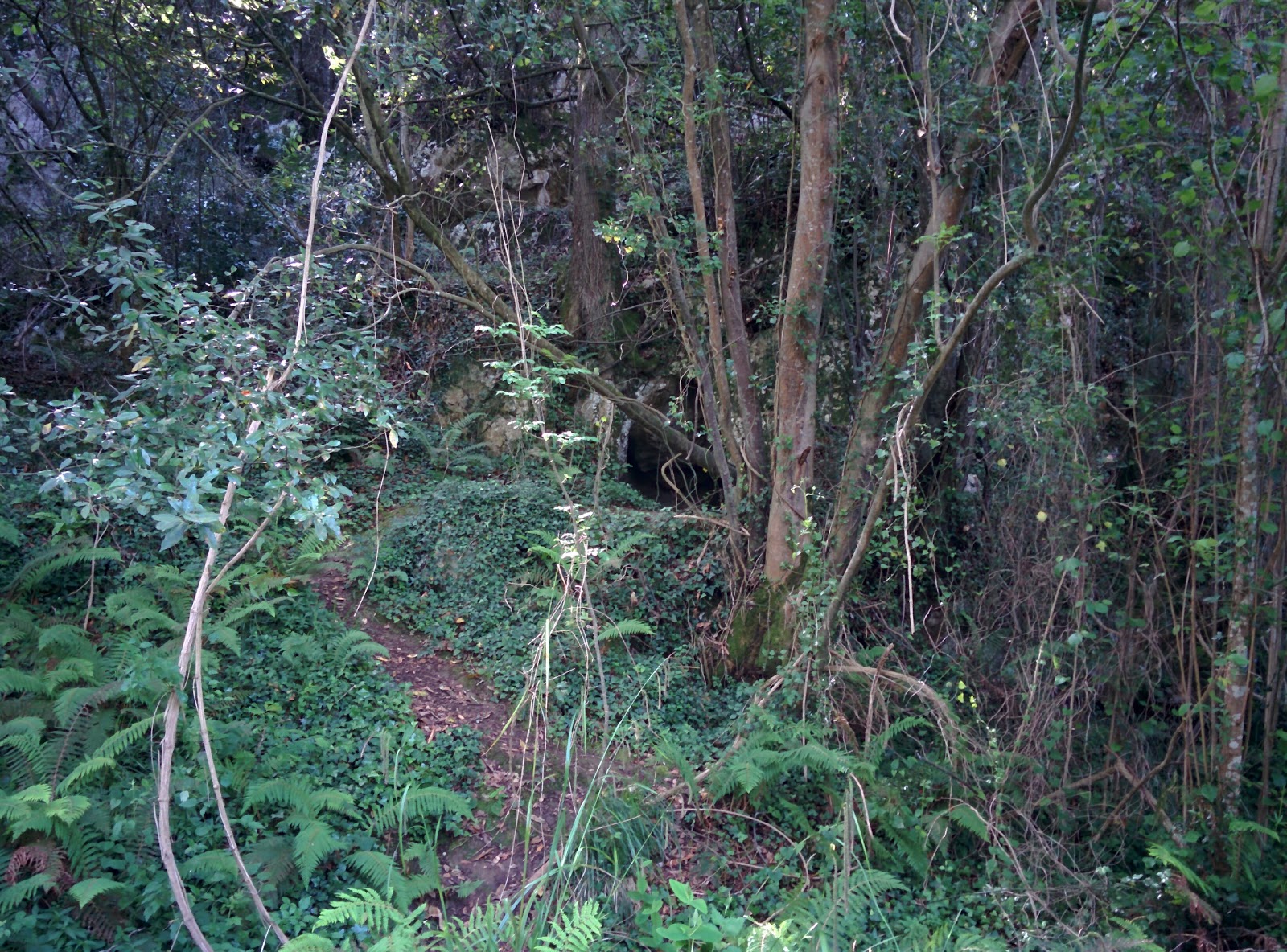 A lo bouzo: Cueva de Pando [Ribadesella]