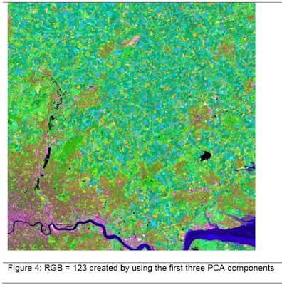 Principal Components Analysis and Tasseled Cap Transformation used in ...