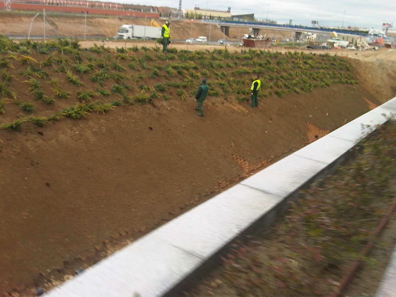 @ JuanPCachero Blog: !!! AJARDINAMIENTO DE TALUDES