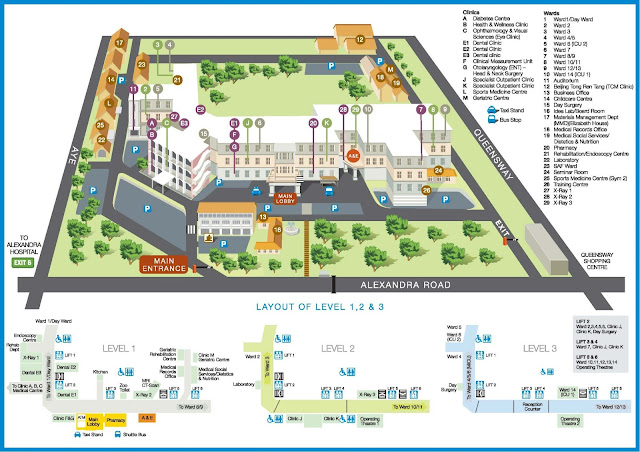 FutureCretors: Research on Alexandra Hospital