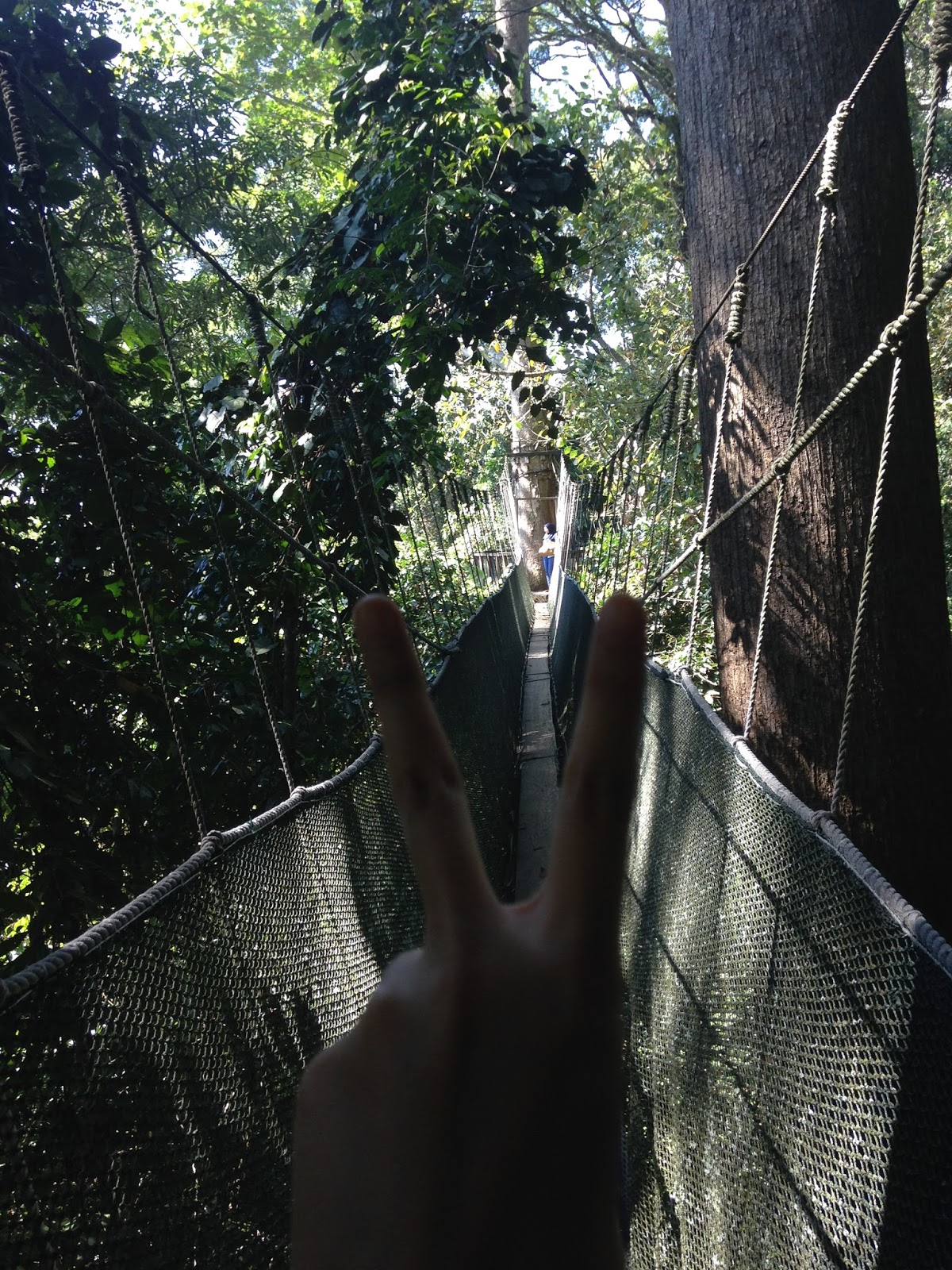 W A N I A Z E M A N: Sabah Day 2 - Kinabalu Park, Canopy Walk