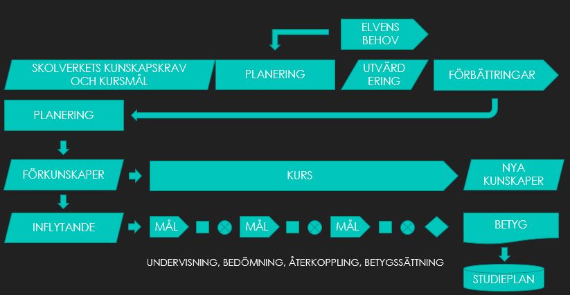 Fekemetodens undervisningsprocess, eller, SIQ som modell för ...