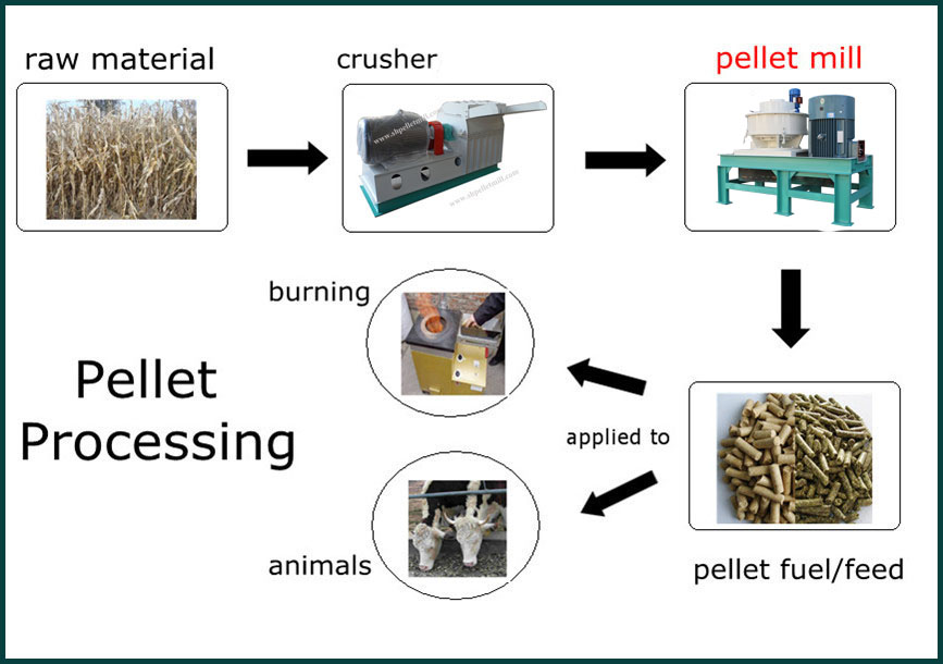 pellet mill: 5 tips making wood pellets by yourself