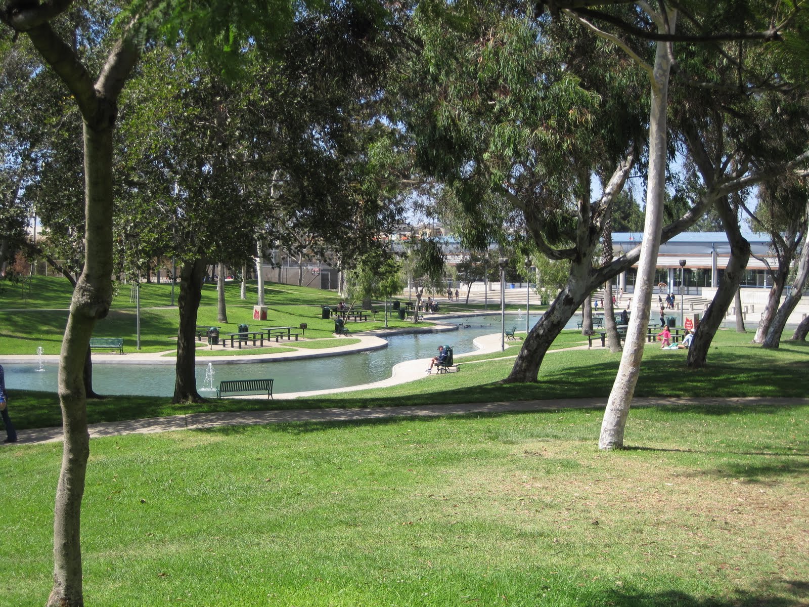 Behind the Scenes at Stuart Ng Books: Family Fun - Wilson Park train rides!