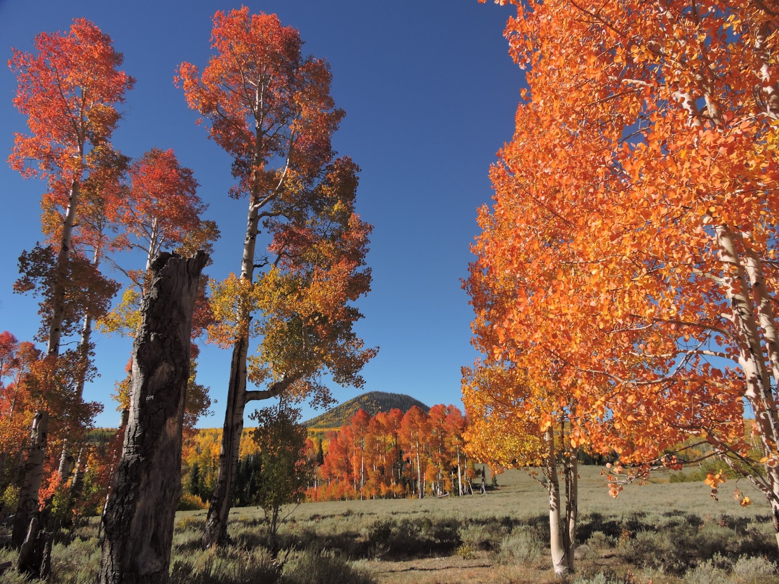 Balza Travels: Cedar Breaks National Monument