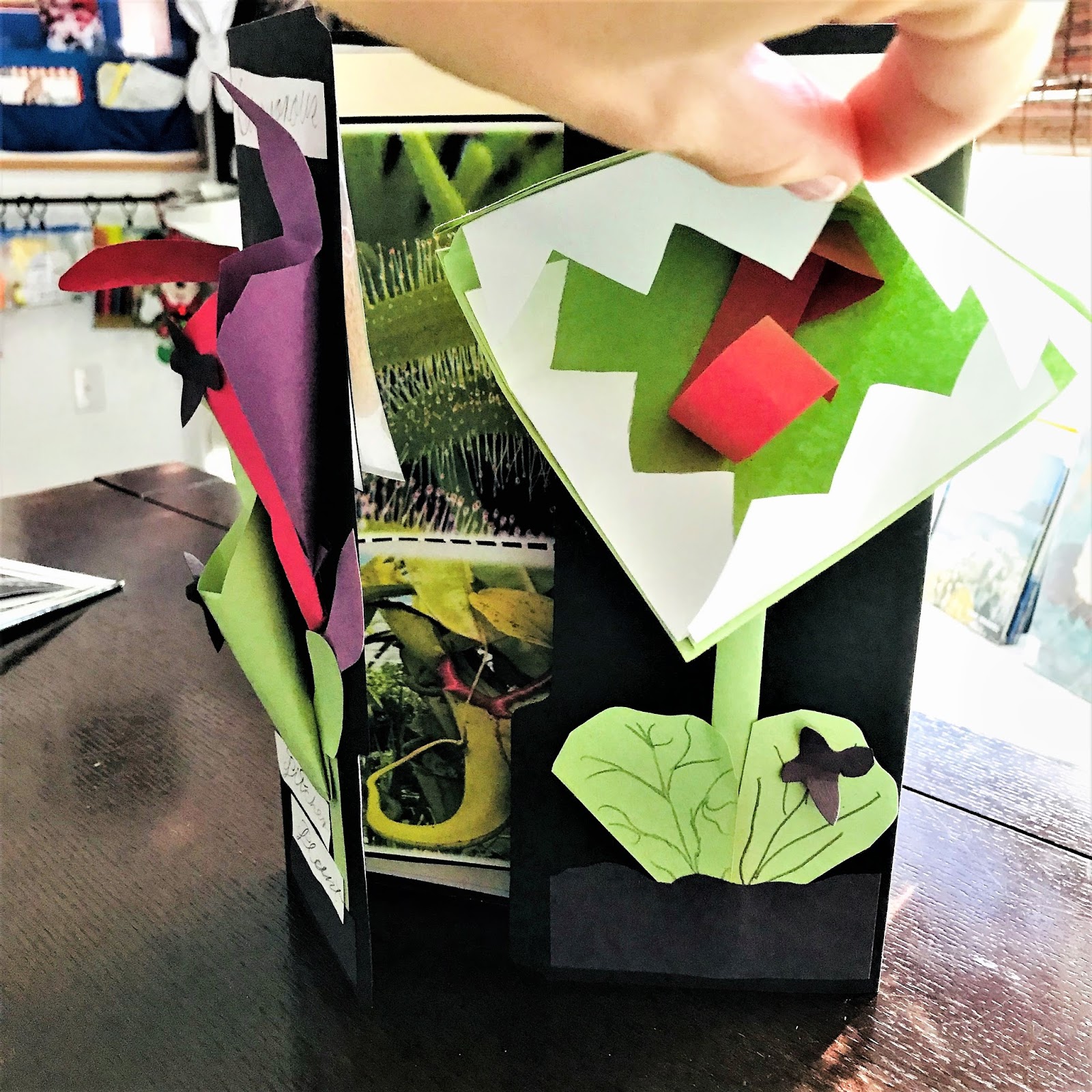 The Hermit Crabs Homeschool: Carnivorous Plants Unit