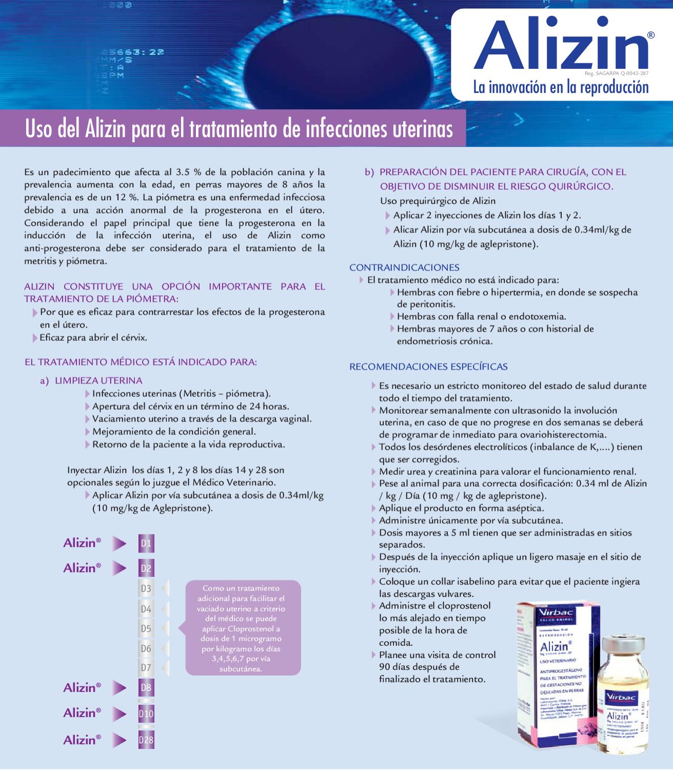 alizin - wood scribd braxin