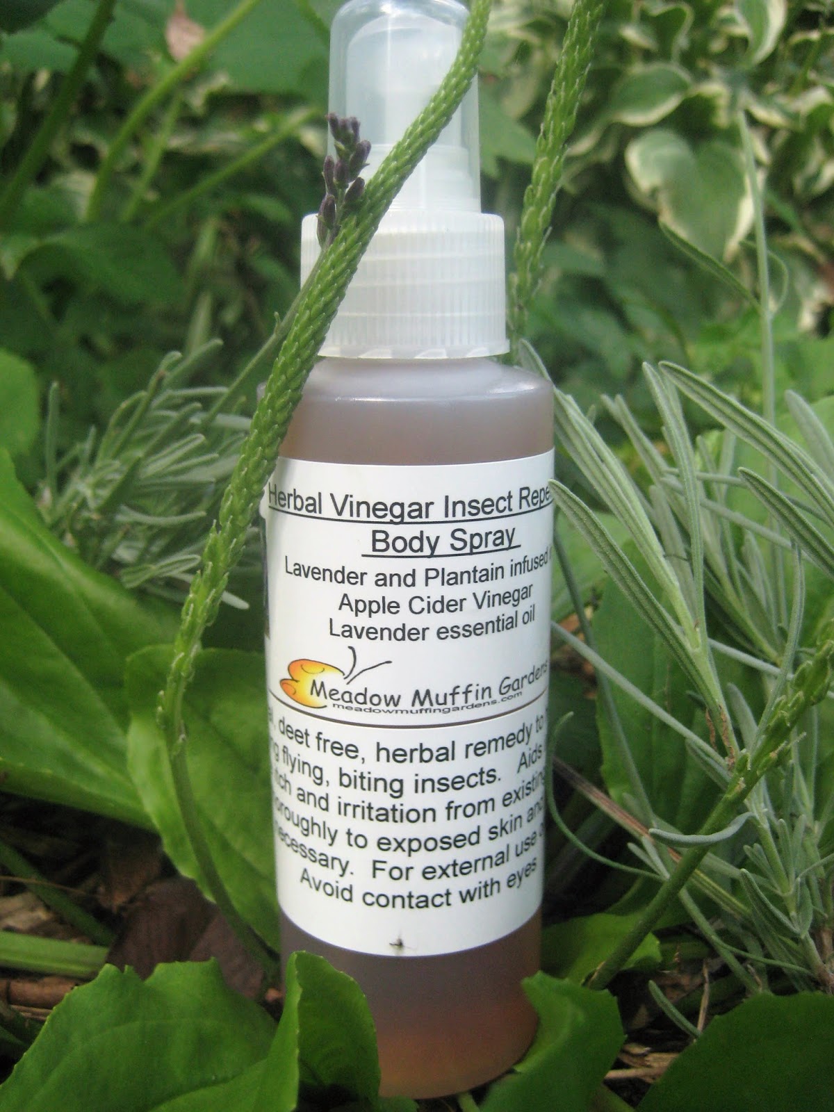 Meadow Muffin Gardens: The Well Stocked Natural Child's First Aid Kit