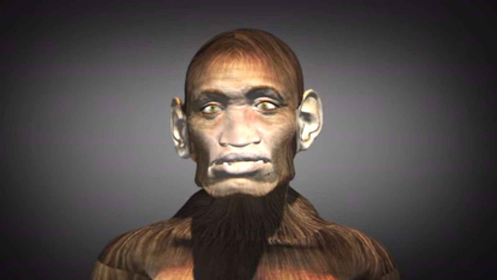 Kozmikus Közzététel: Kozmikus Közzététel – XI/7.