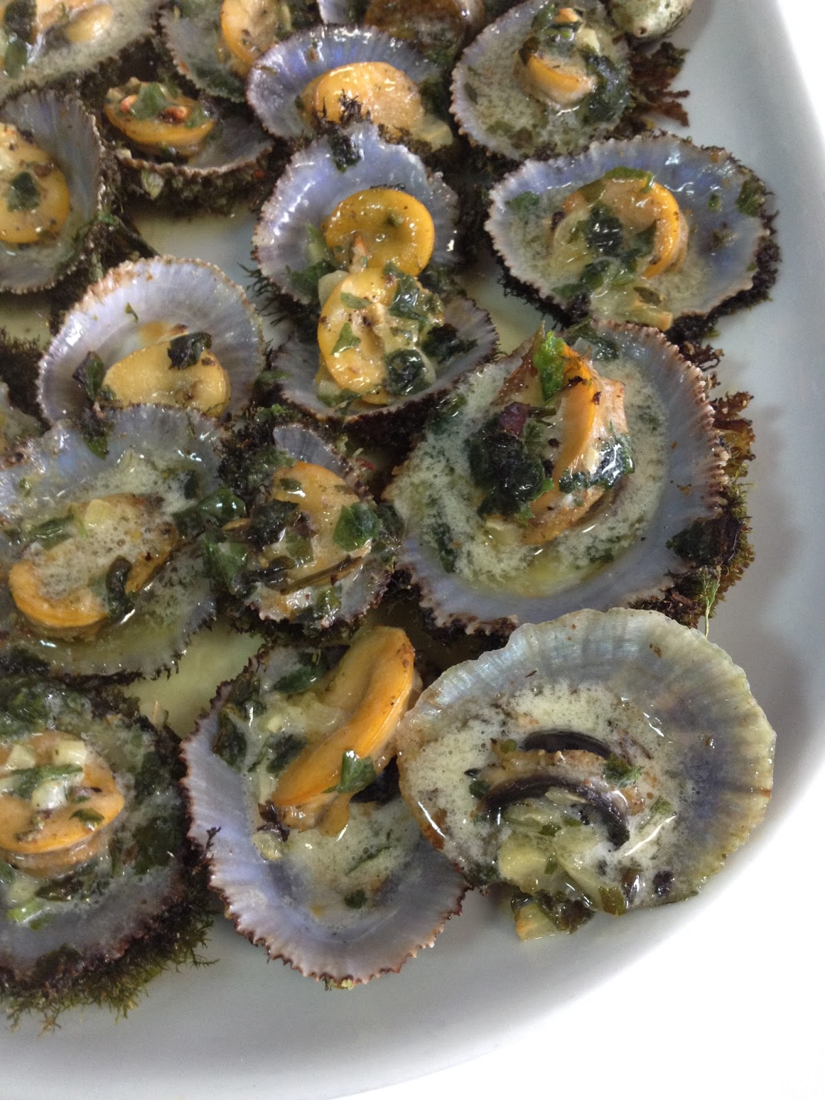 Pimentinhas na Cozinha: MARISCO