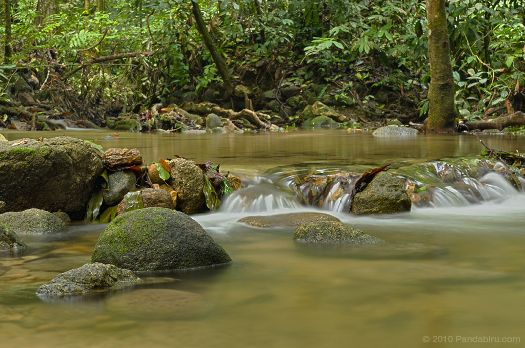 ::=Nur Kasih=::: Menikmati keindahan alam semulajadi