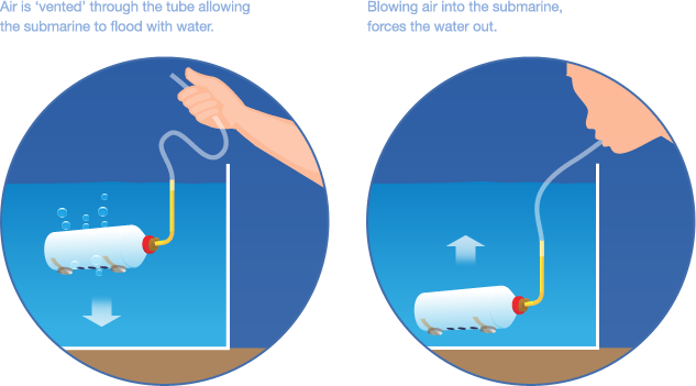Bottle submarine shows how buoyancy tanks work.