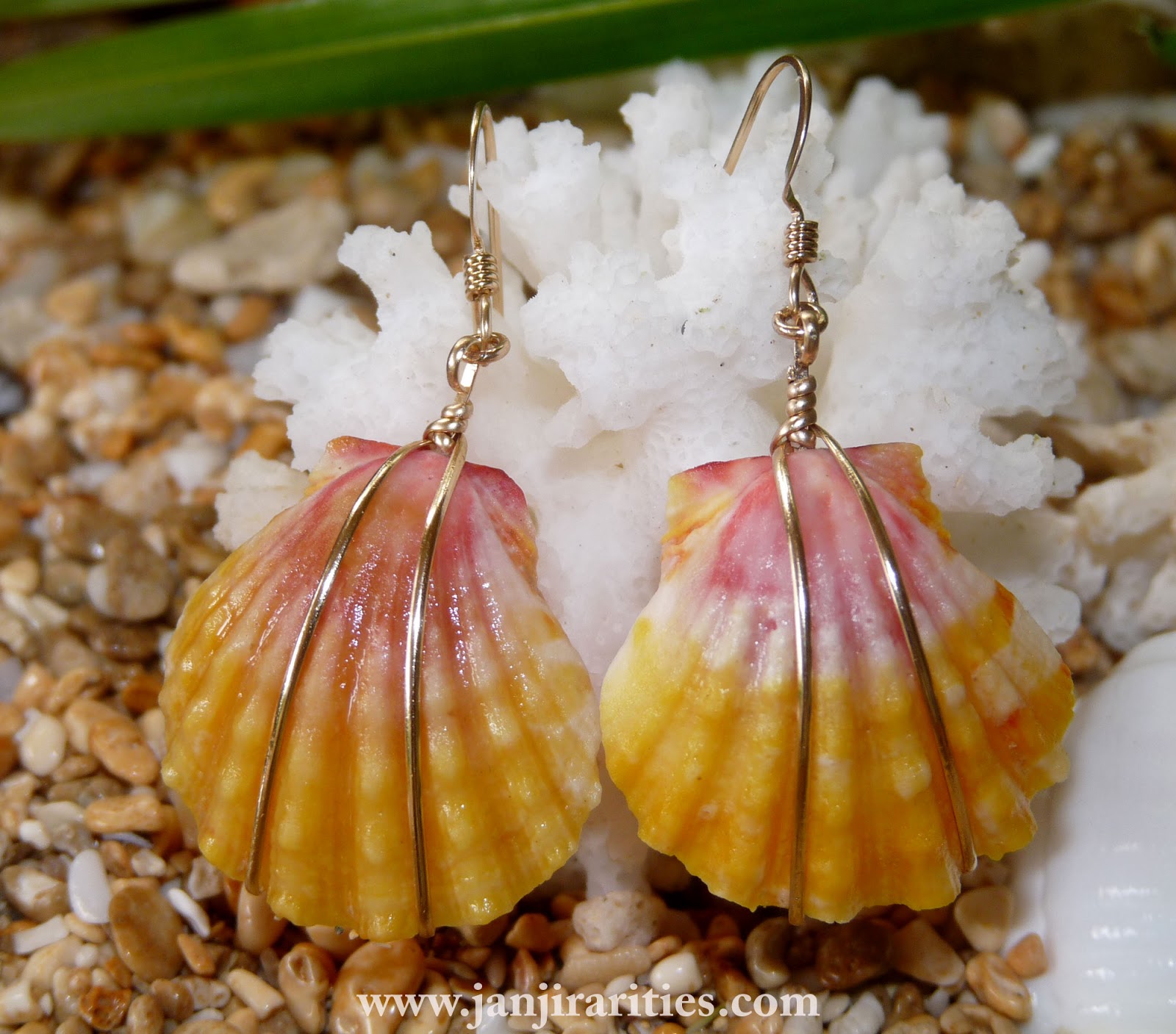 Kahelelani & Sunrise shell jewelry by.... Janjira: Sunrise shells earrings