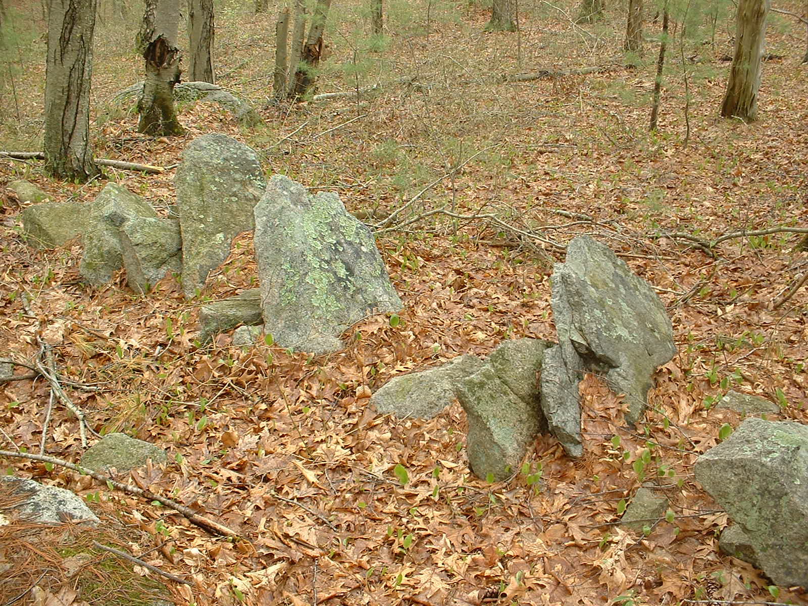 Secret Landscapes: Modification of Native Stone Rows