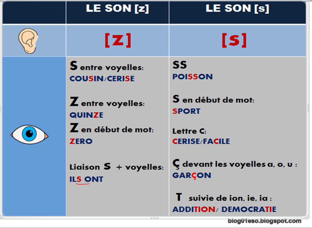 Leçon d'orthographe : Les sons [s] et [z]