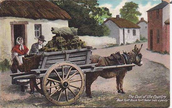 Country Standard: The Irish Donkey - Rural icon or recent arrival