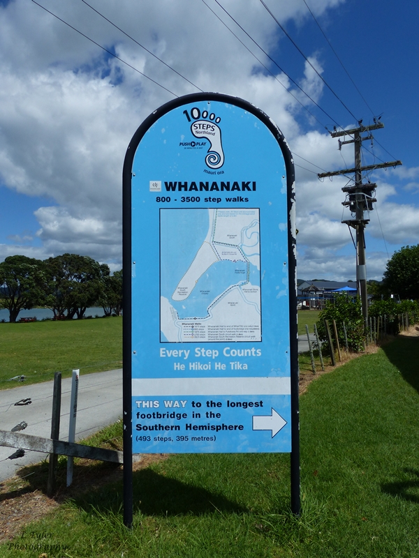 The Balancing Kiwi: Whananaki, New Zealand