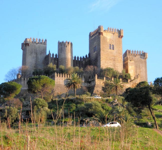 La Historia en Imágenes: IMAGENES DEL SIGLO VIII