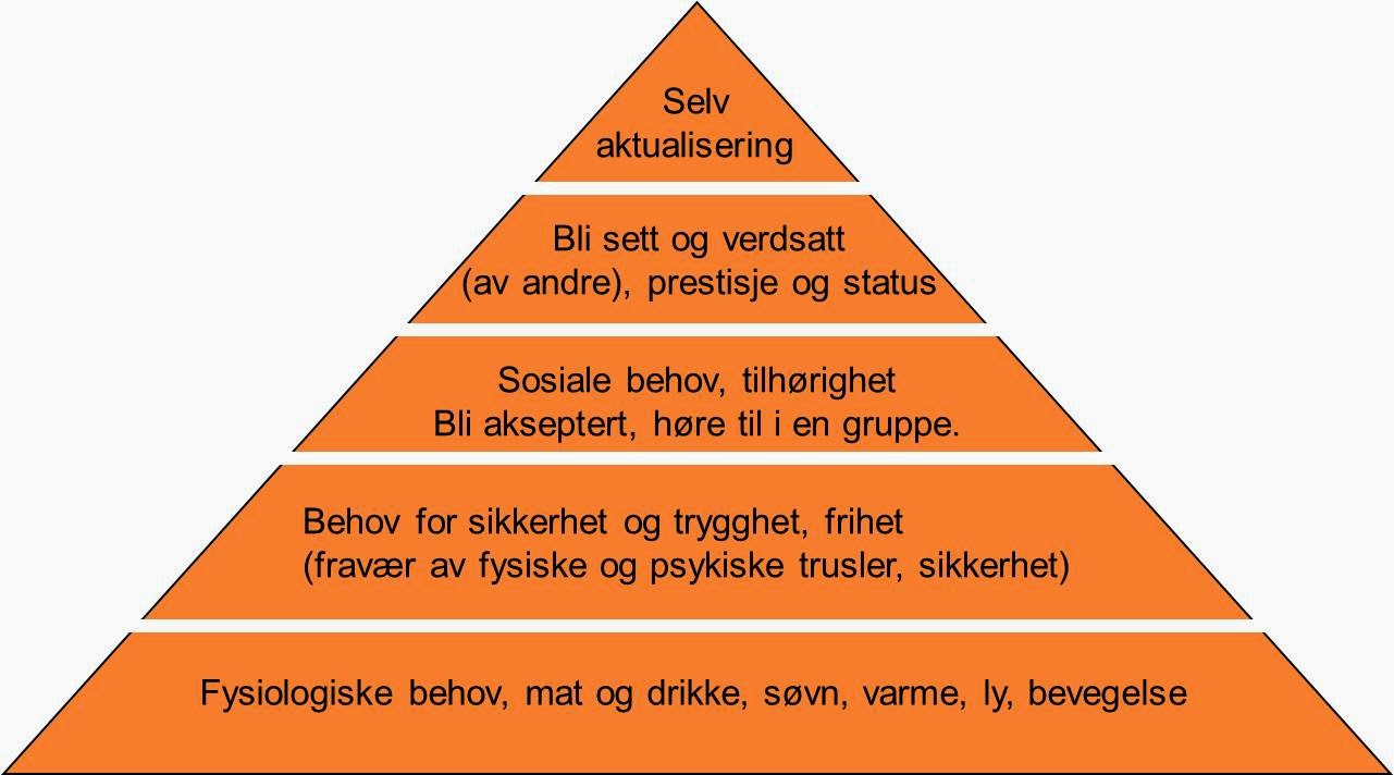 Markedsføring og ledelse: Om glidelås og behov