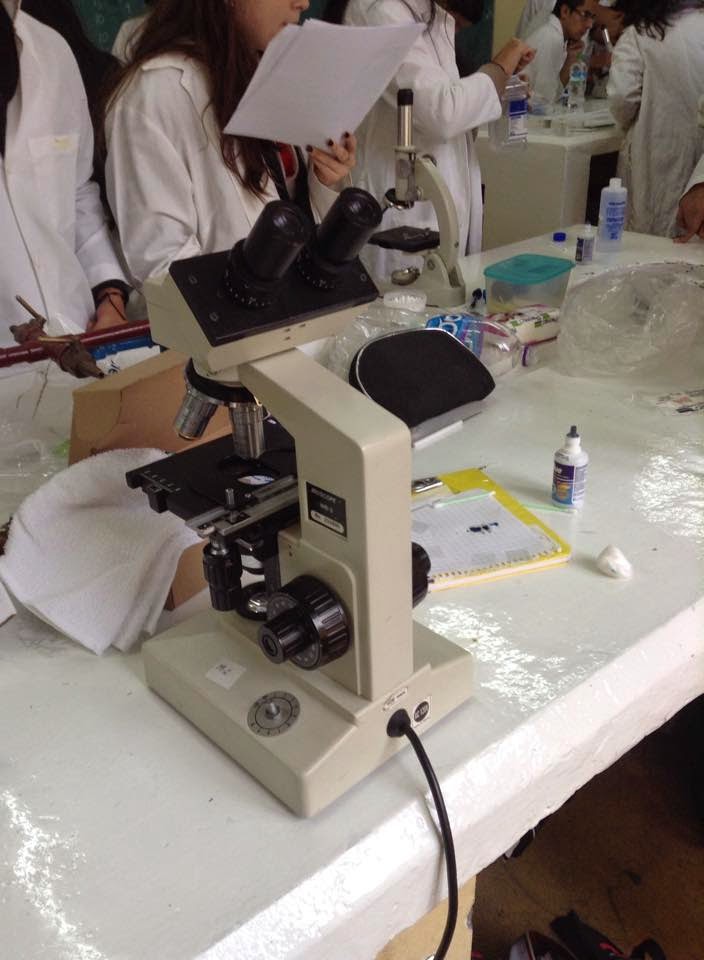 practicas: Uso y Manejo del Microscopio