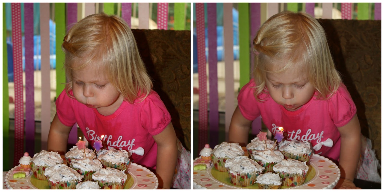 A Joyful Girl...: Sydney's 2nd Birthday Party