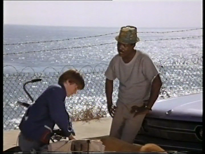 The Department of Afro American Research, Arts and Culture