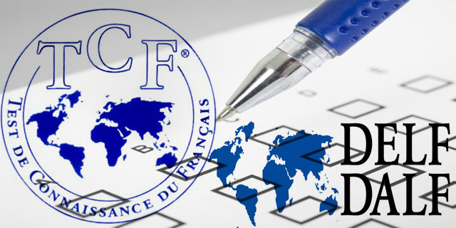 French DELF & DALF Exams - A Blue Shark