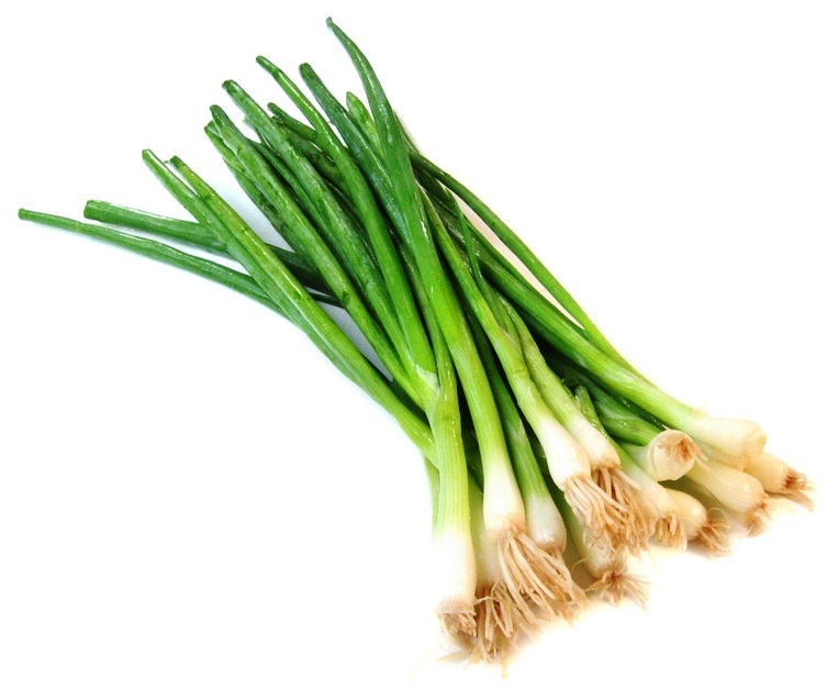 Cara Jitu Budidaya Daun Kucai - Lim Corporation