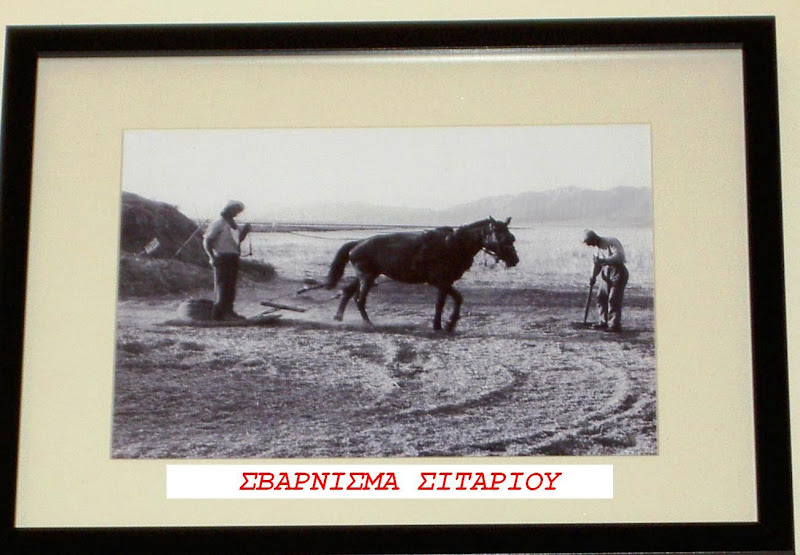 ΓΙΑΝΝΗΣ Δ.ΛΥΡΑΣ: ΣΠΟΡΑ-ΘΕΡΙΣΜΑ-ΑΛΩΝΙΣΜΑ-ΜΥΛΟΣ-ΨΩΜΙ