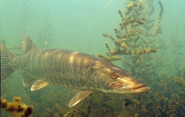 Mike's Blog: October 2011