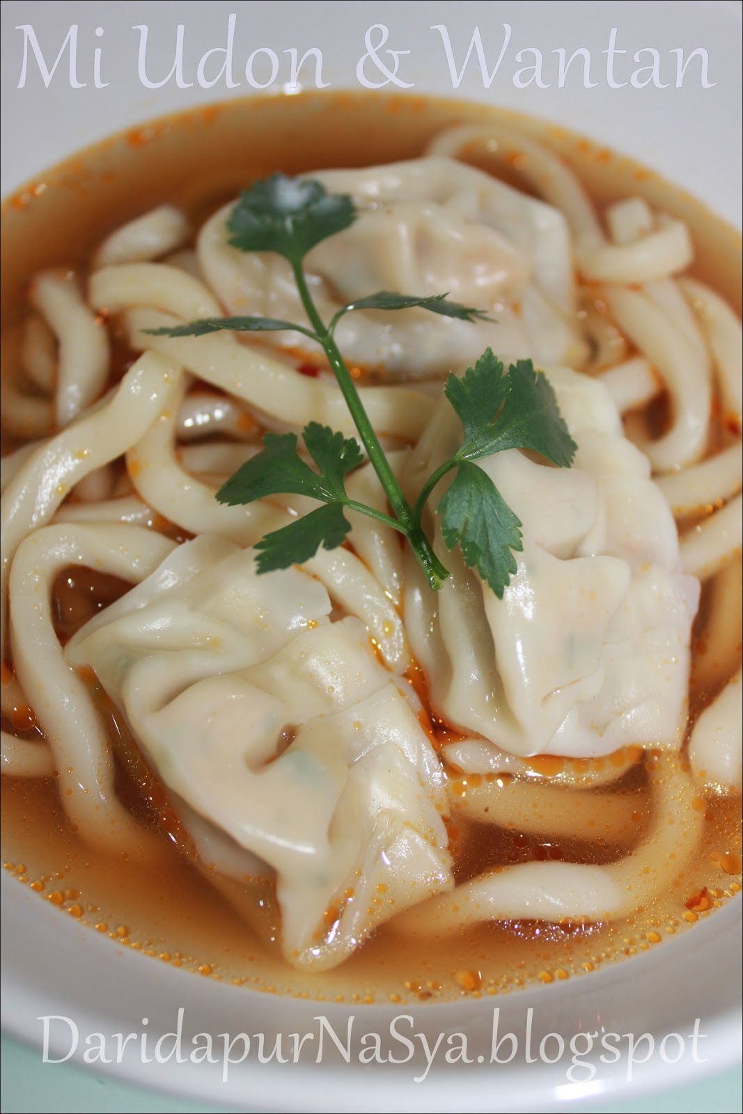 Dari Dapur NaSya: Mi Udon & Wantan