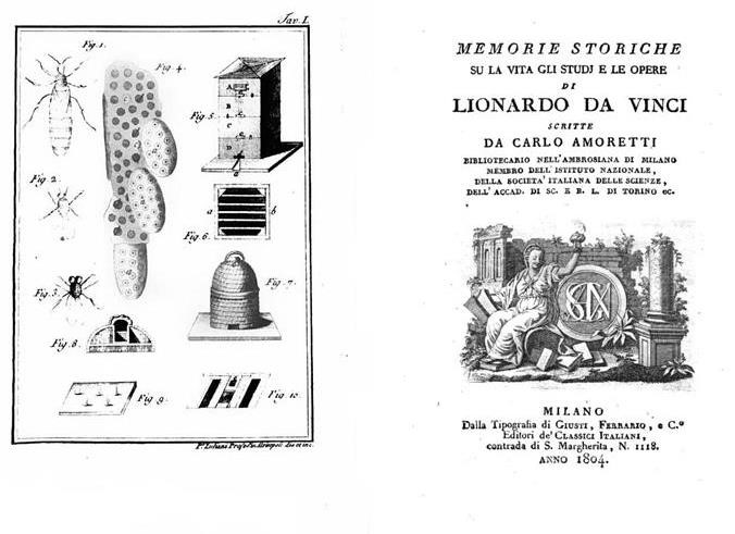 Letteratura artistica: Winkelmann a Milano. A cura di Aldo Coletto e ...