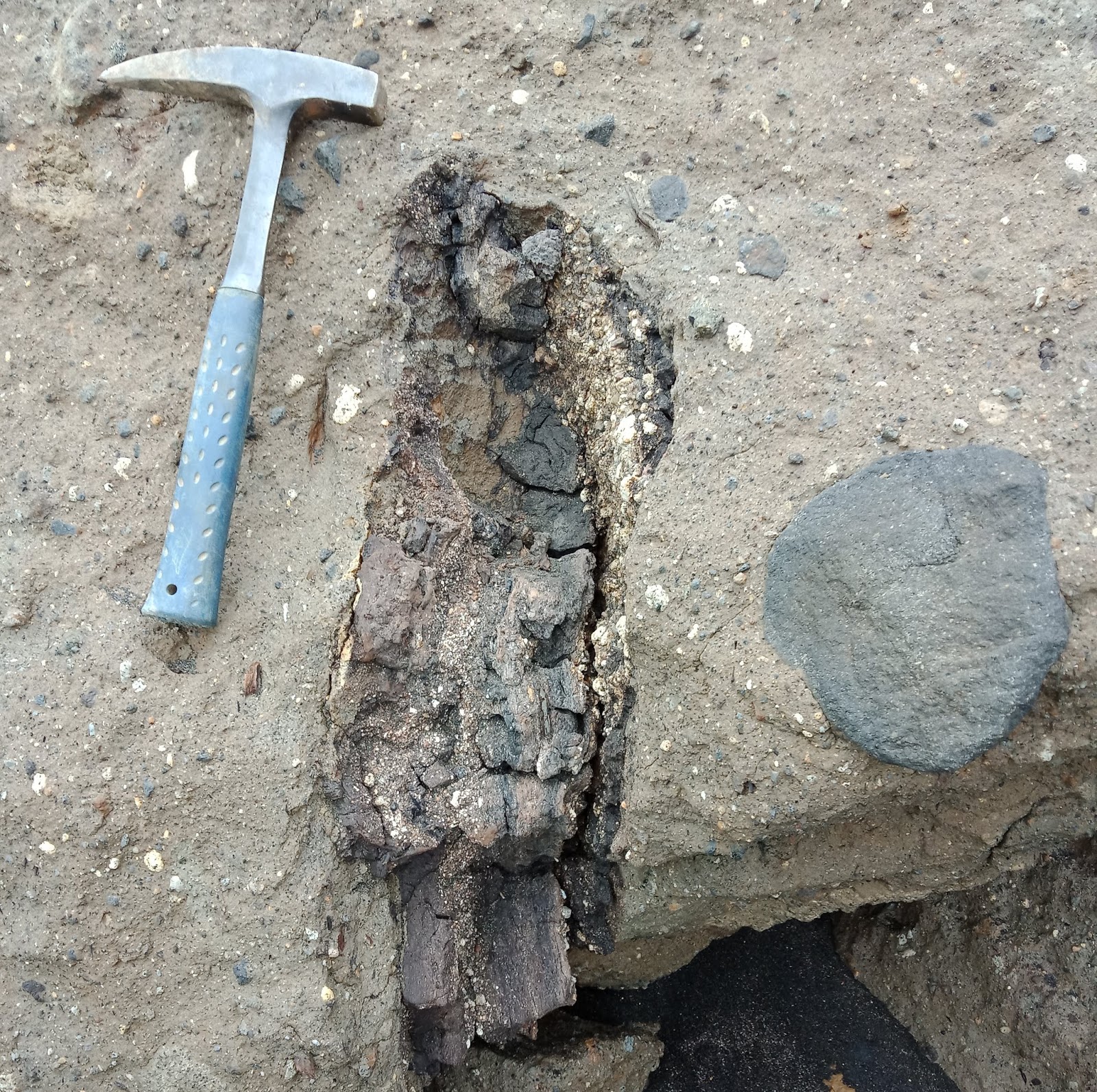 Aotearoarocks - Geology - Archaeology - History - Ecology: Guest post ...