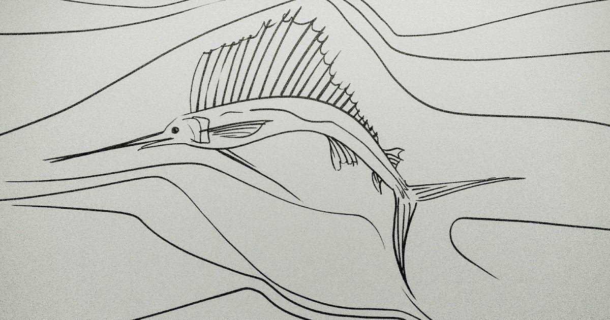 Create A Drawing A Day: Sailfish