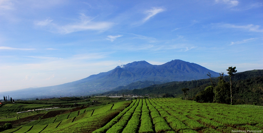 Indahnya Alam Kita | Photography And Humor