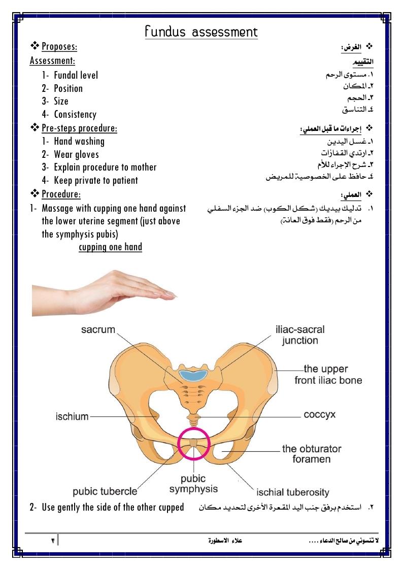 Fundus and lochia assessment Fundus and lochia assessment