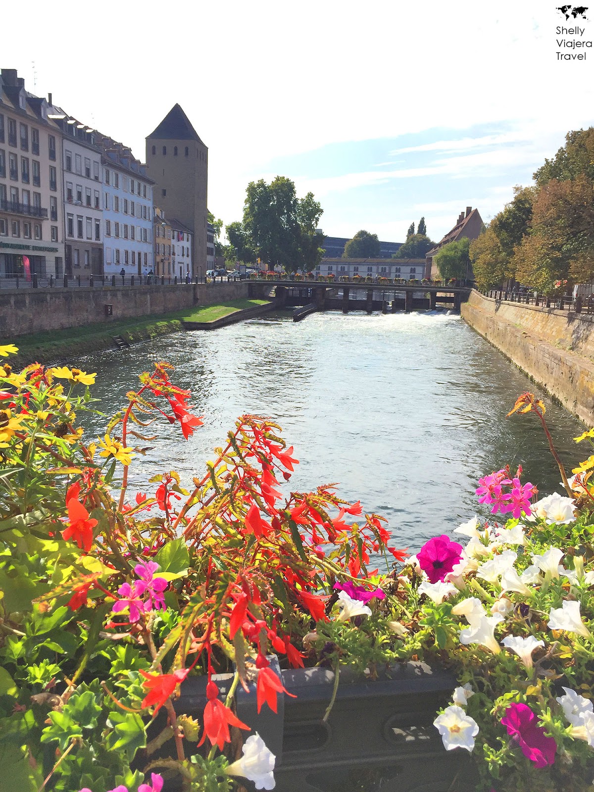 A Quaint City in France You Should Visit Soon - Shelly Viajera Travel
