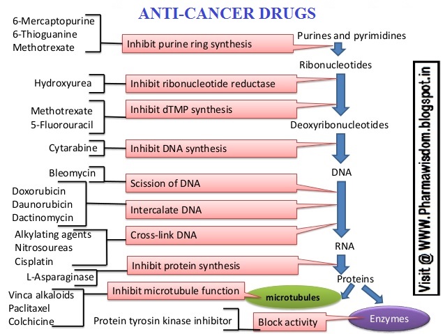Mechanism of Action of Chemotherapeutic drugs - PHARMA WISDOM