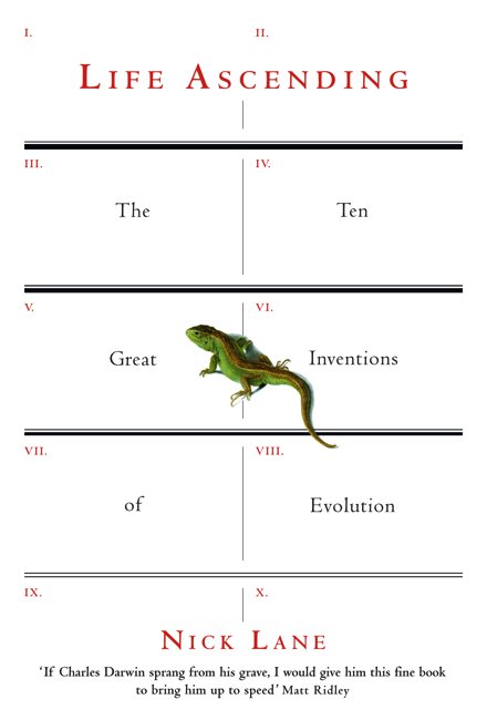 The Home Of Weird And Ignorance: 2011