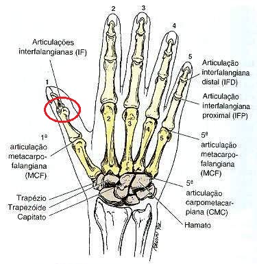 JonataSax: Dores no polegar direito