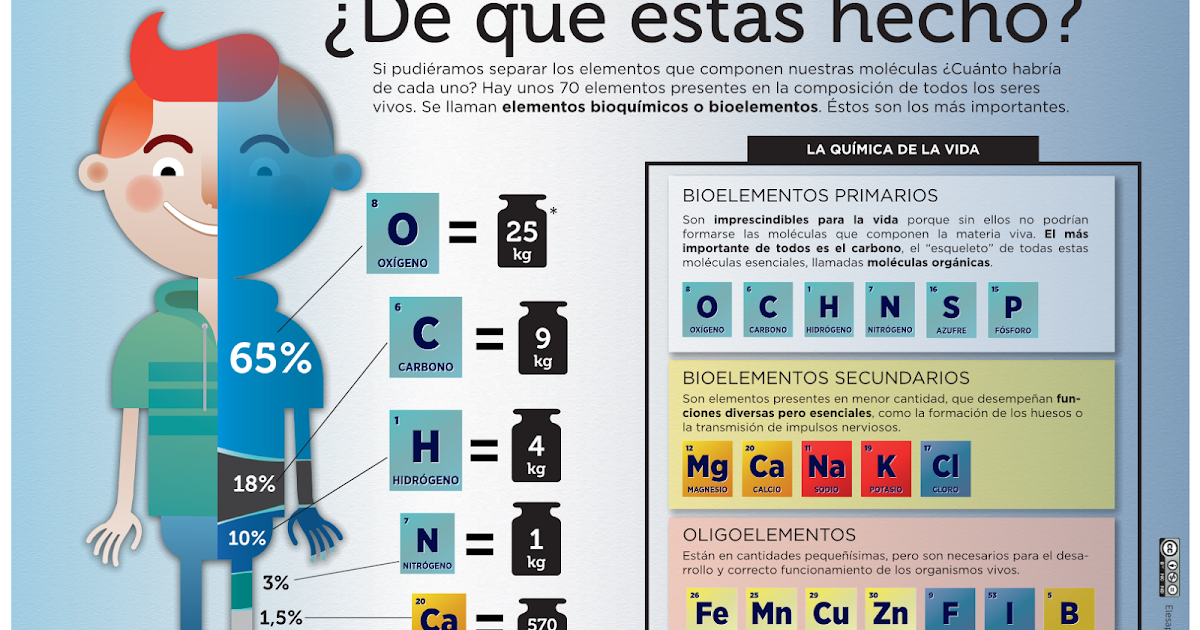 Elementos químicos y el átomo : Oligoelementos