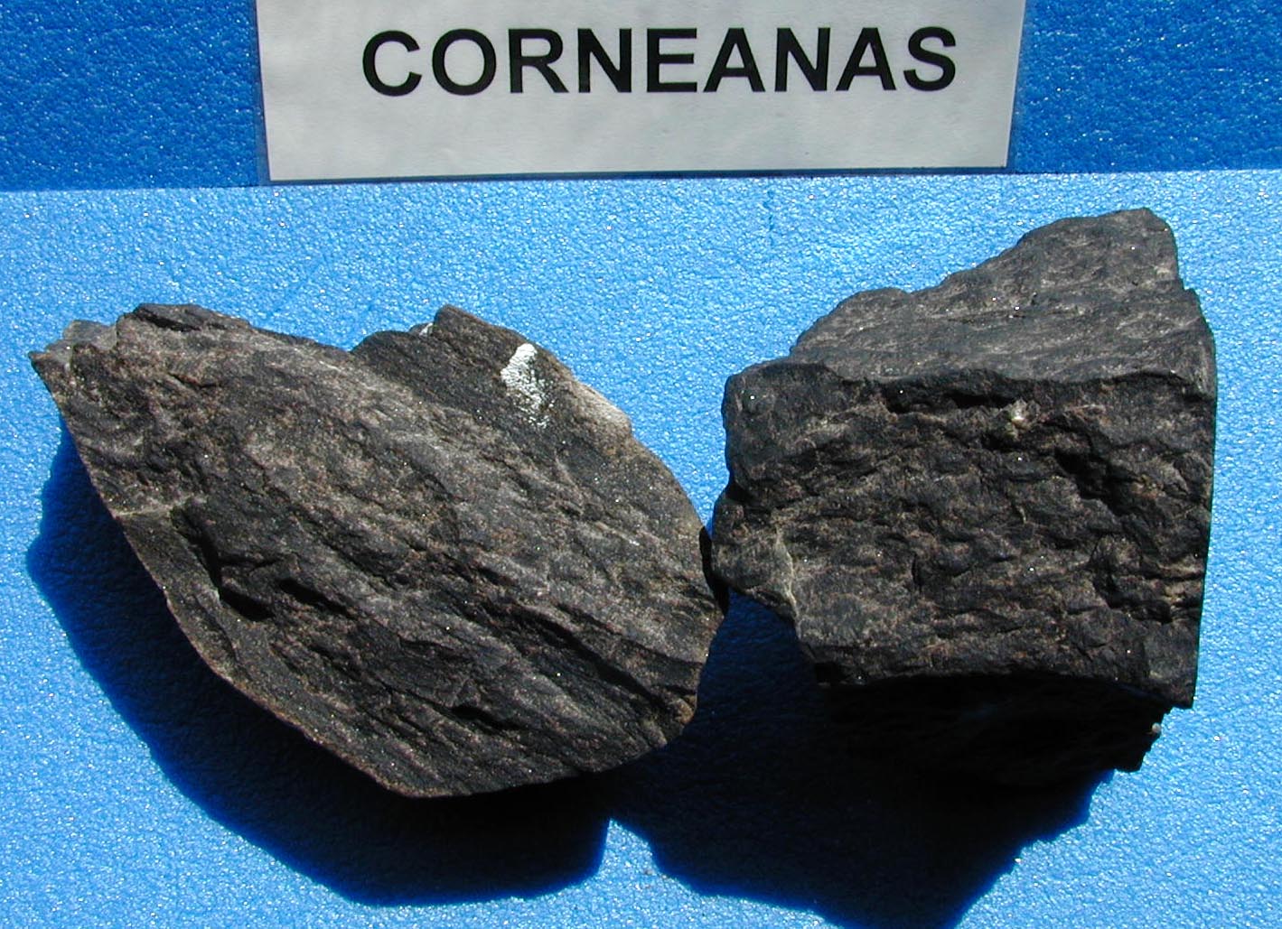 "GEOLOGIA": SEMANA CINCO