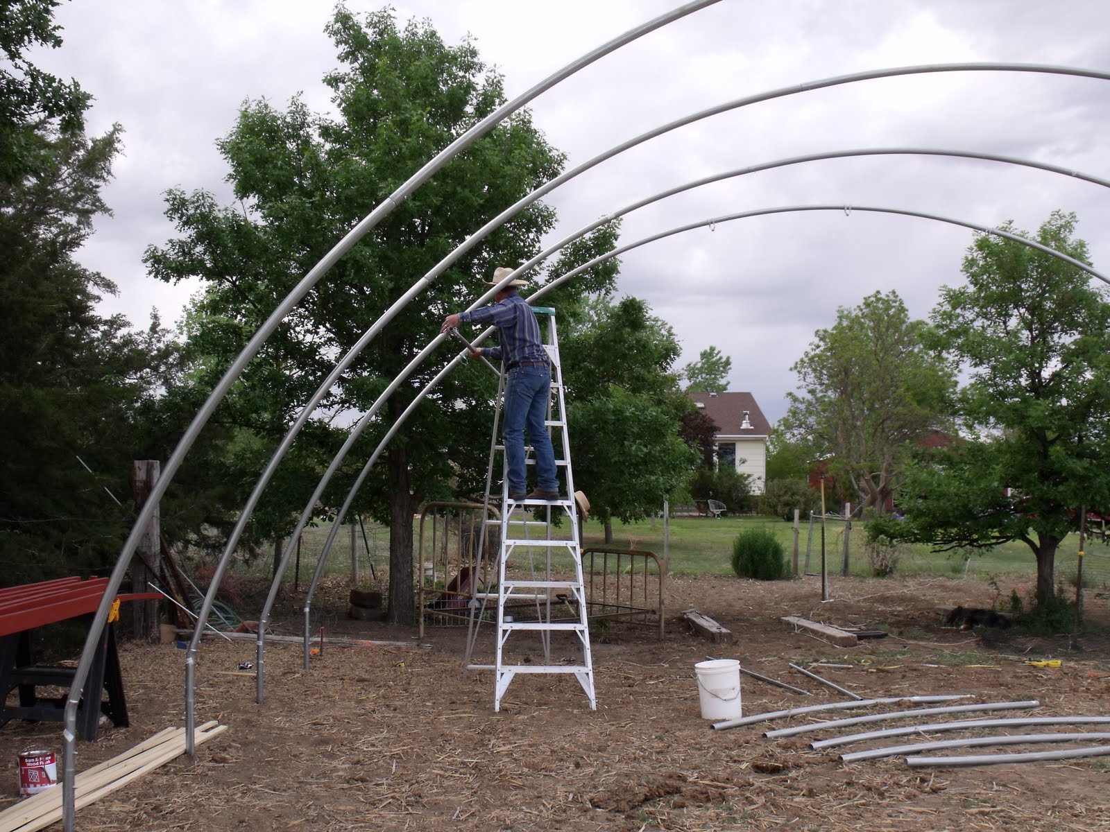 An Organic Cowboy: Seasonal High Tunnel