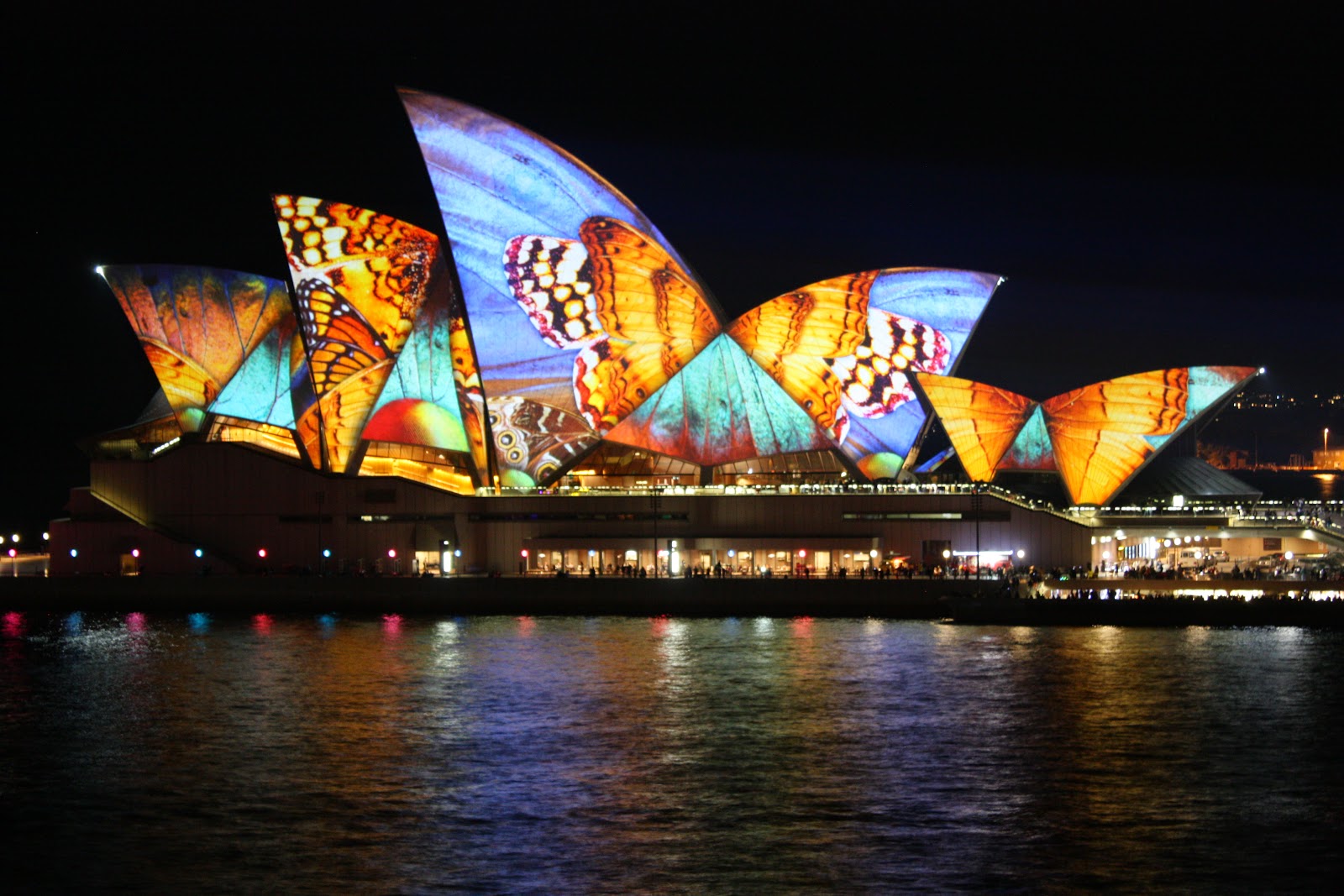 Sydney - City and Suburbs: Sydney Opera House, Vivid Sydney