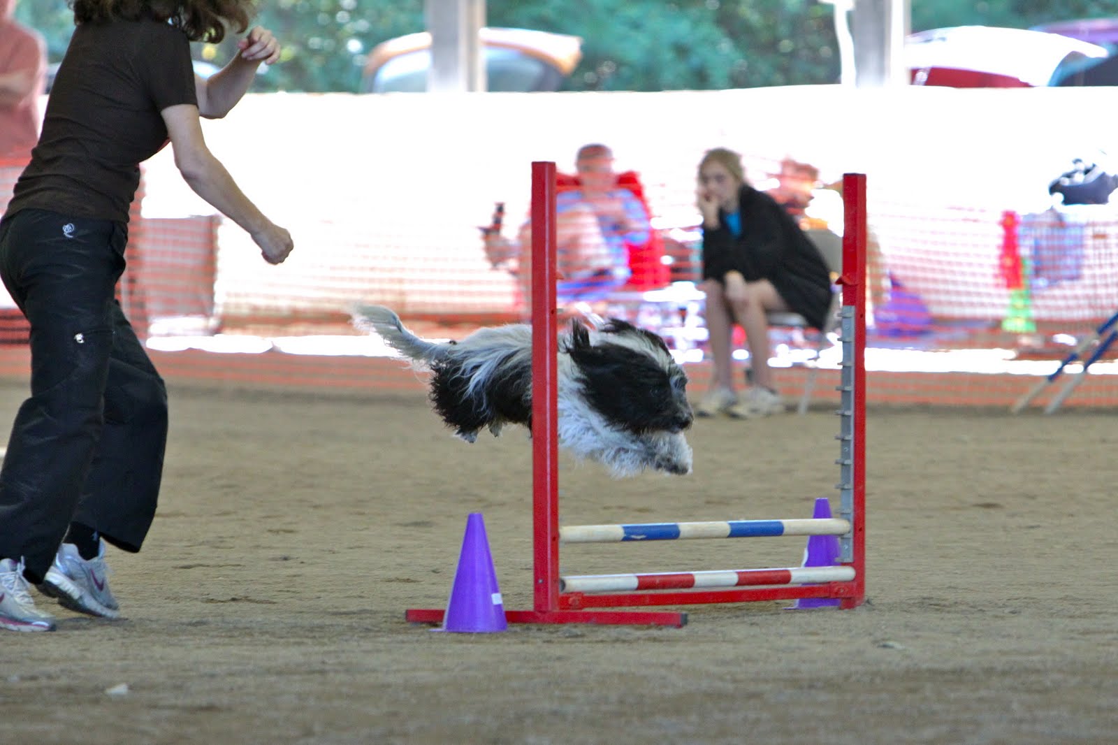 To Dog With Love: Winners of Freaky Dog People t-shirt giveaway