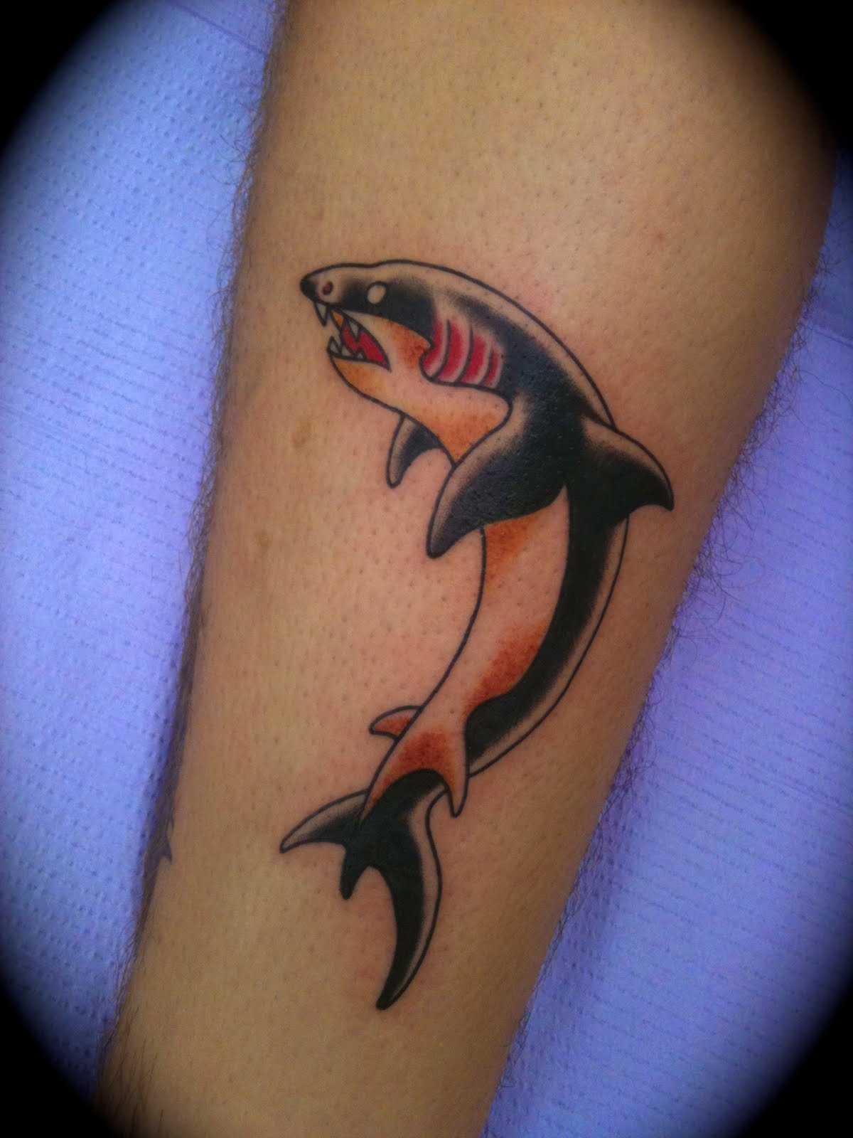 Sweet Tiger Shark by Tyler at Forever Tattoo Parlour in Cape Coral,FL ...