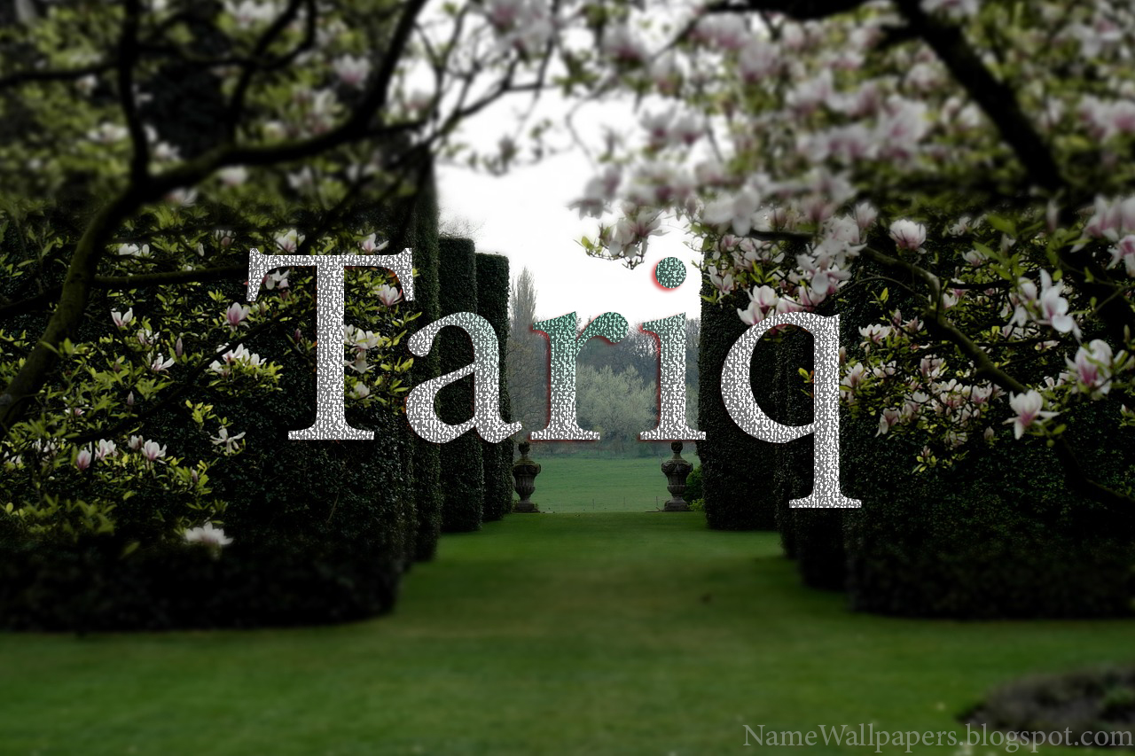 Tariq Name Wallpapers Tariq ~ Name Wallpaper Urdu Name Meaning Name ...
