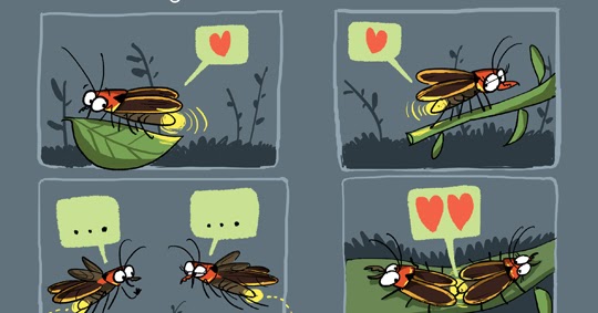 Green Humour: Fireflies and Light Pollution